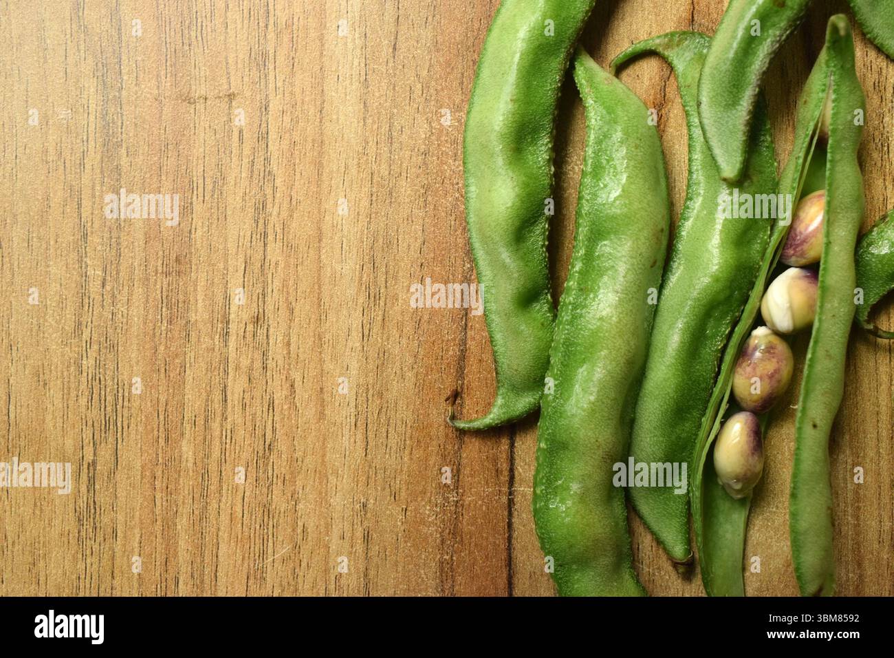 Group Of Hyacinth Bean or Same Ki Phalli Lablab Purpures, Also Known As ...