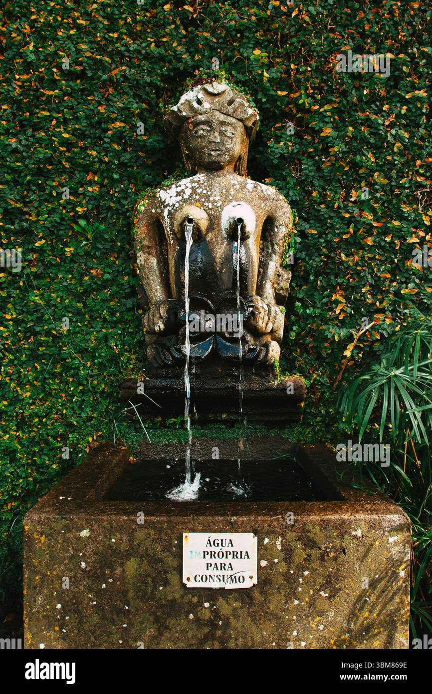 Buddha statue with cascading water feature in a tranquil outdoor garden ...