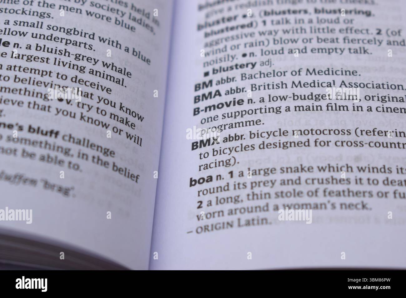 English Definition Dictionary Page Of Printed Word - BMX Close Up Image ...