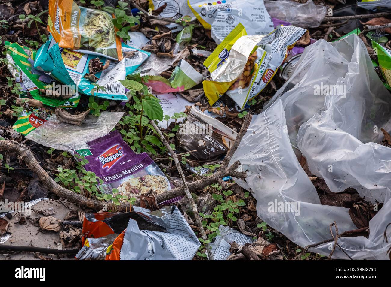 Plastic and other trash on a soil in a park in India. Ecological and ...