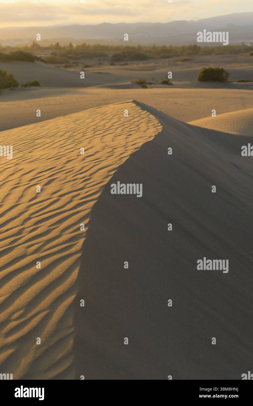Soft dunes stretch across the horizon, illuminated by warm sunset light ...