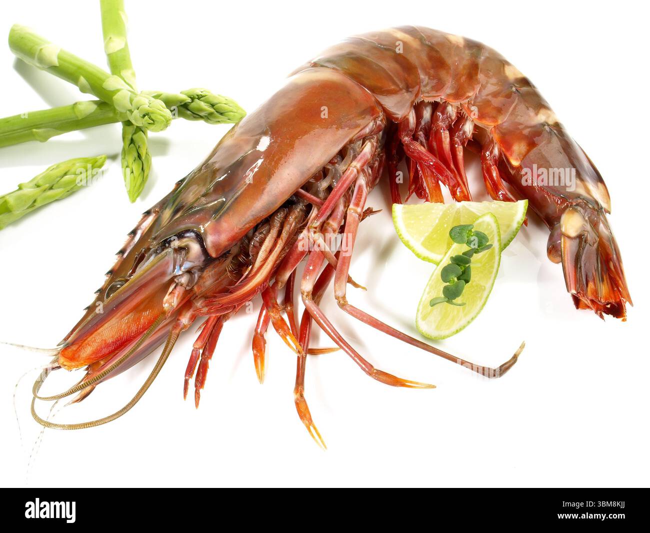 King Prawn - Tiger Prawn on white Background Stock Photo - Alamy