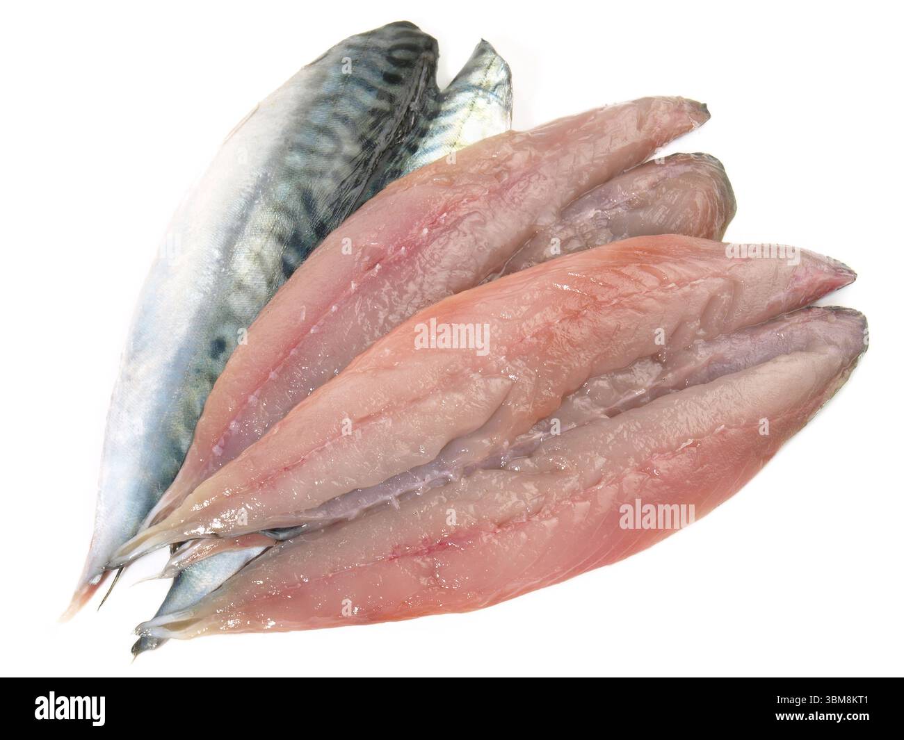 Pilchard Fillet - Fish on white Background Stock Photo - Alamy