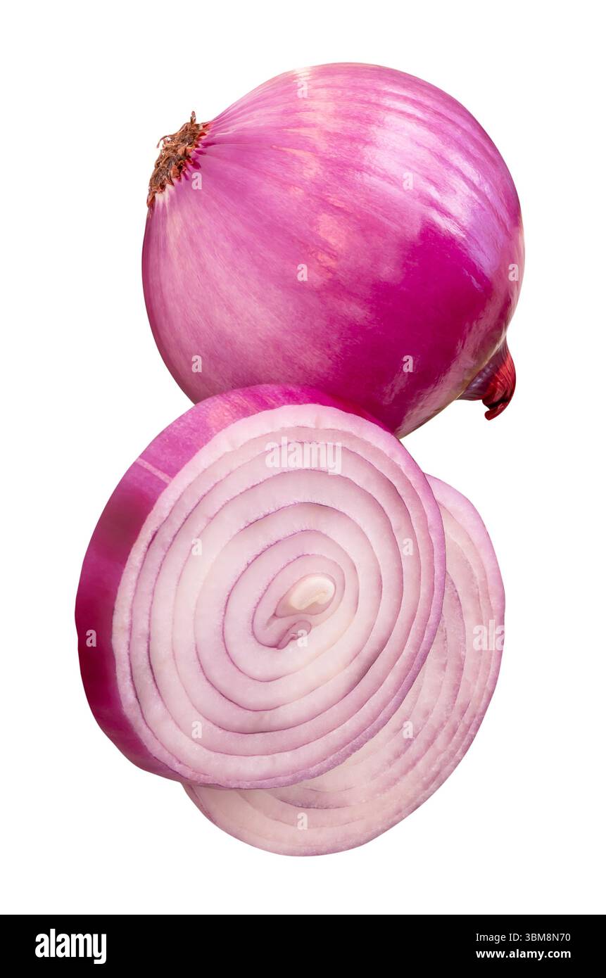 Single fresh peeled red or purple Spanish onion bulb with two onion ...