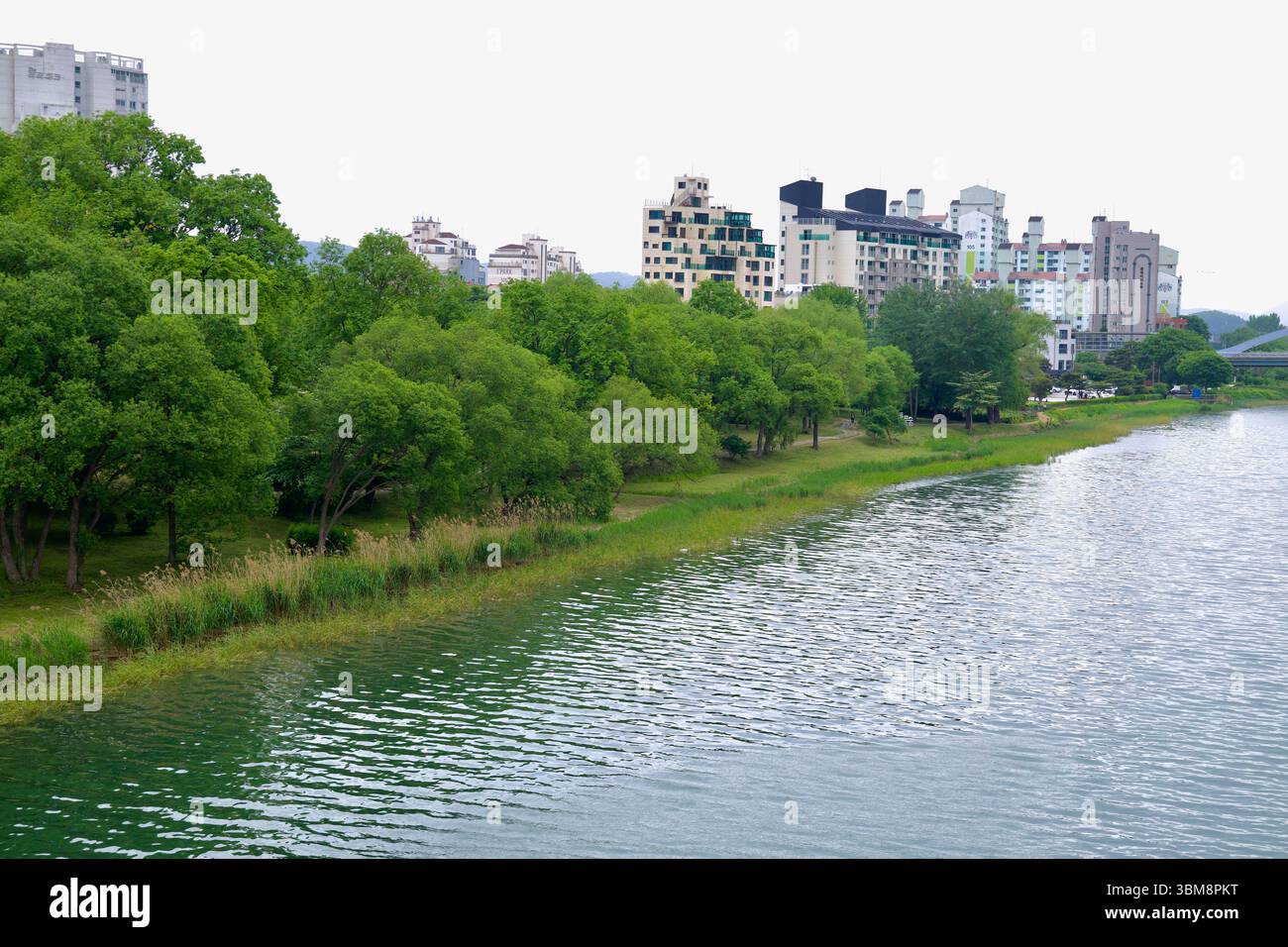 Yangpyeong County, South Korea - May 19th 2025: Lush riverside greenery ...