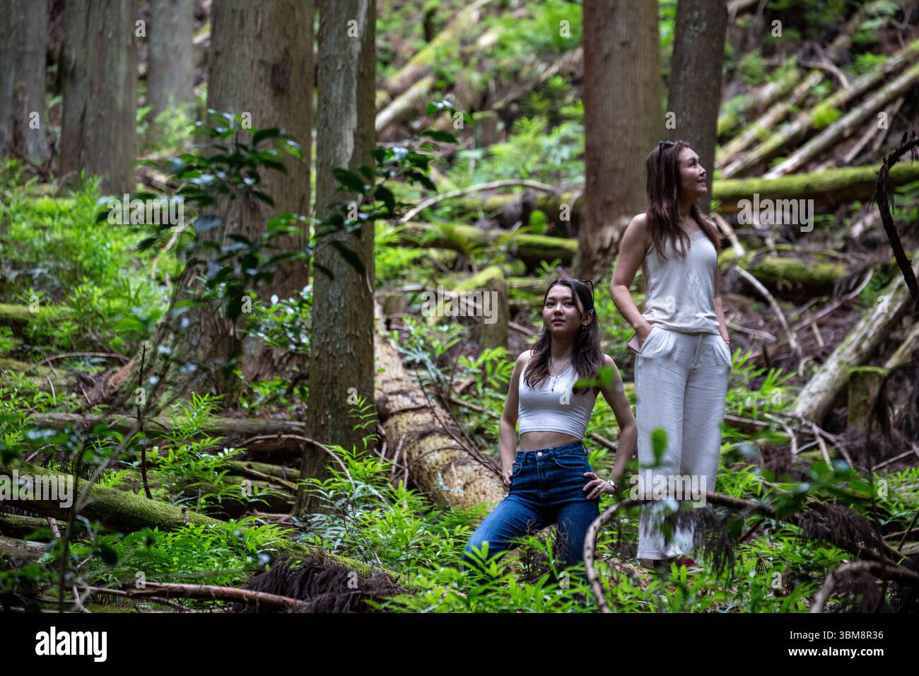 Hiking to Minoo Waterfall in the north of Osaka, Japan Stock Photo - Alamy