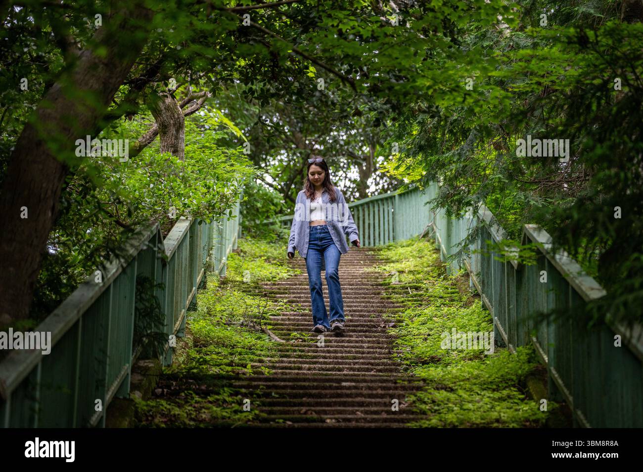 Hiking to Minoo Waterfall in the north of Osaka, Japan Stock Photo - Alamy
