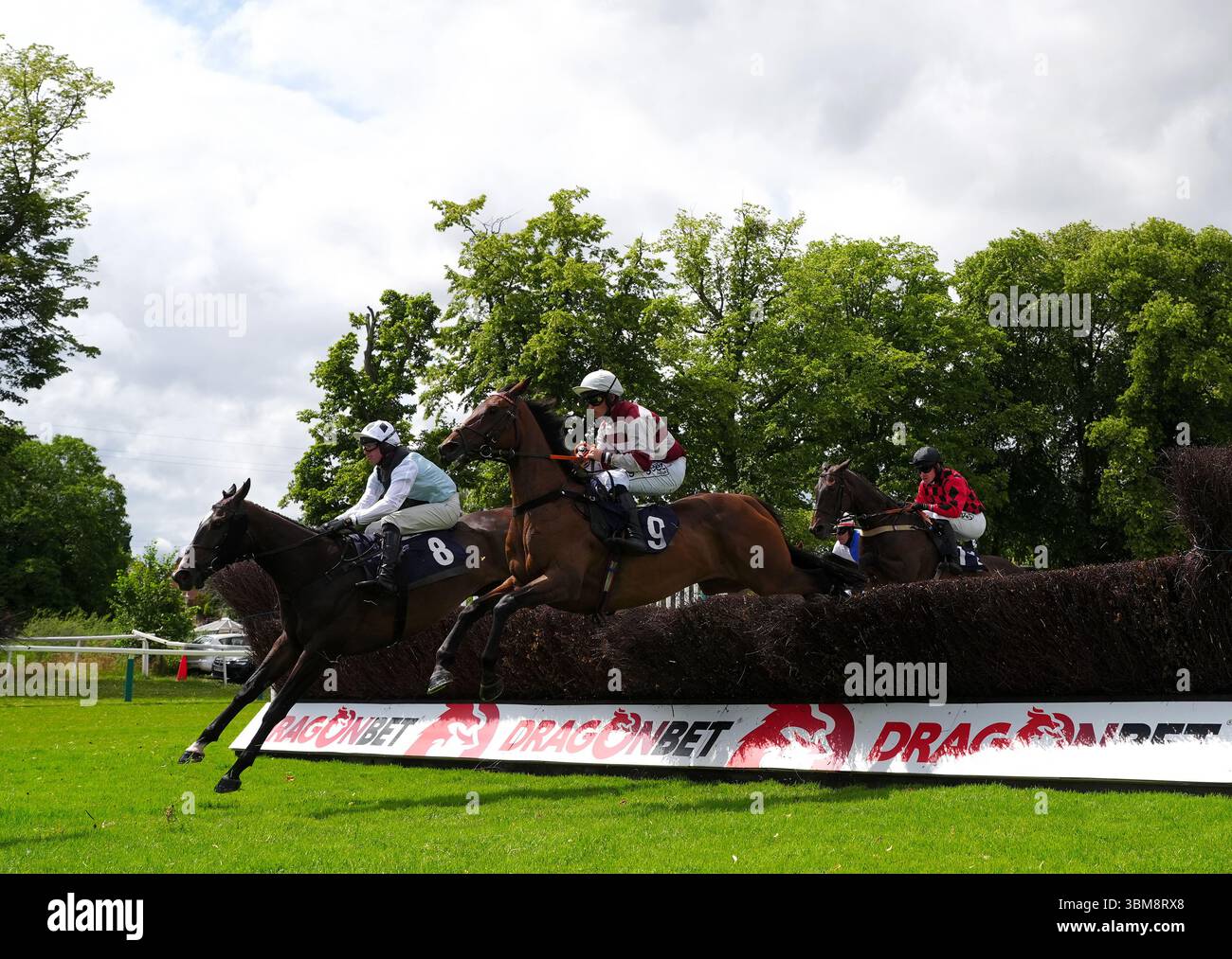 Noble Cave ridden by Richie McLernon and McGregors Charge ridden by Ben ...