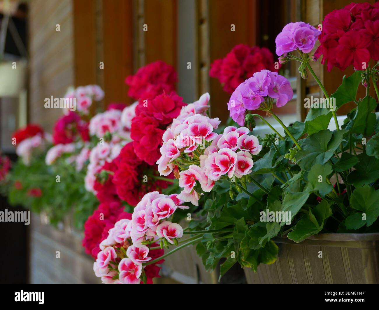 Wooden window flower pots hi-res stock photography and images - Alamy