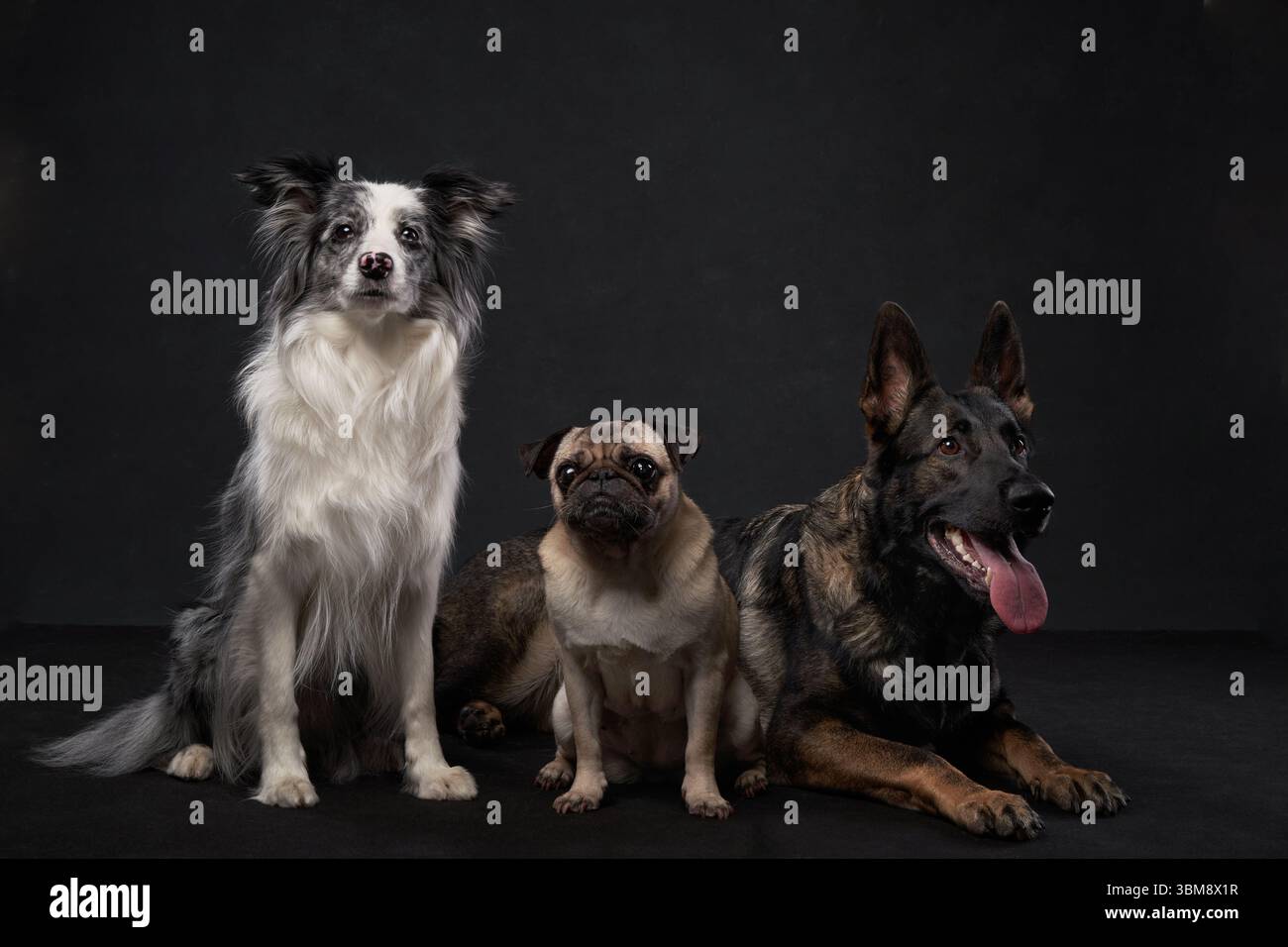 Harmonious expressions hi-res stock photography and images - Alamy