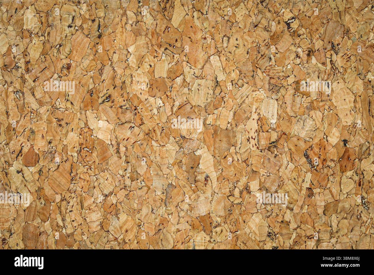 Bright cork texture closeup background Stock Photo - Alamy