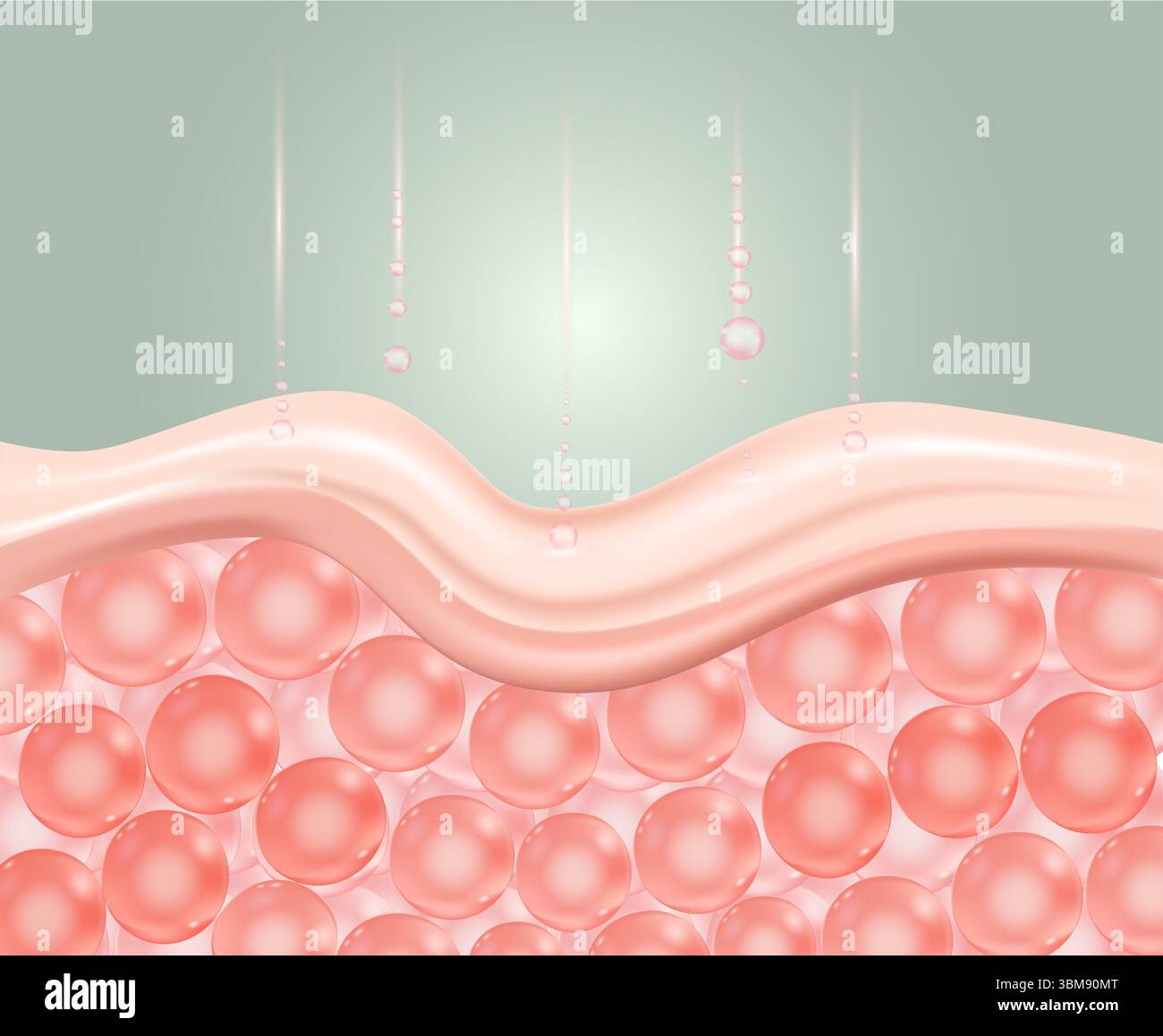 Water and vitamin drop on skin cell Concept cosmetics solution Serum ...