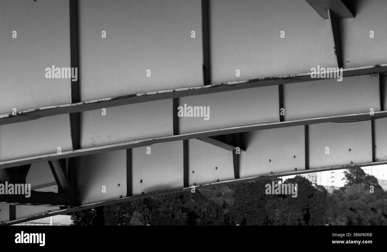 Sturdy nature Black and White Stock Photos & Images - Alamy