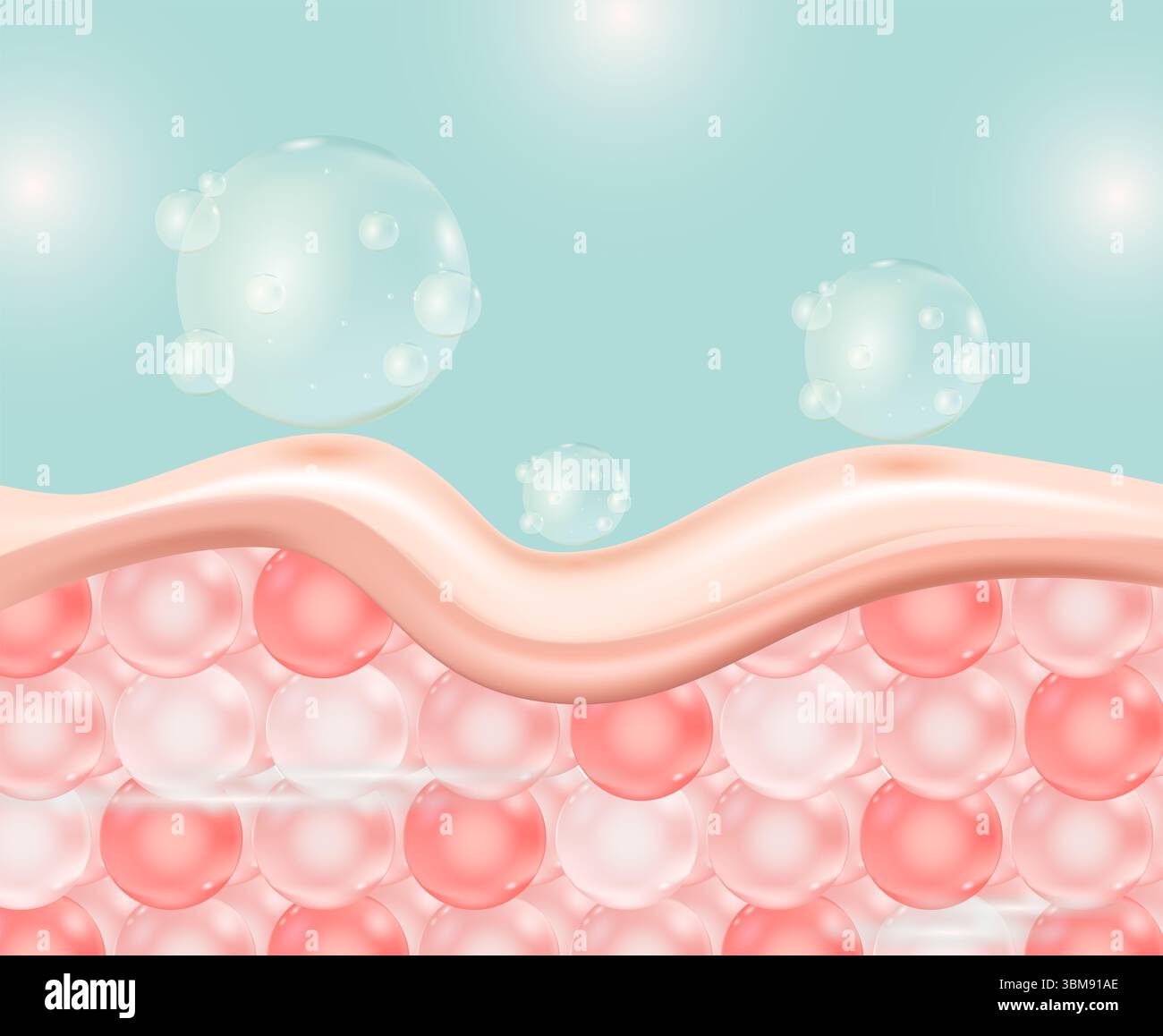 Water and vitamin drop on skin cell. serum through the skin layer and ...