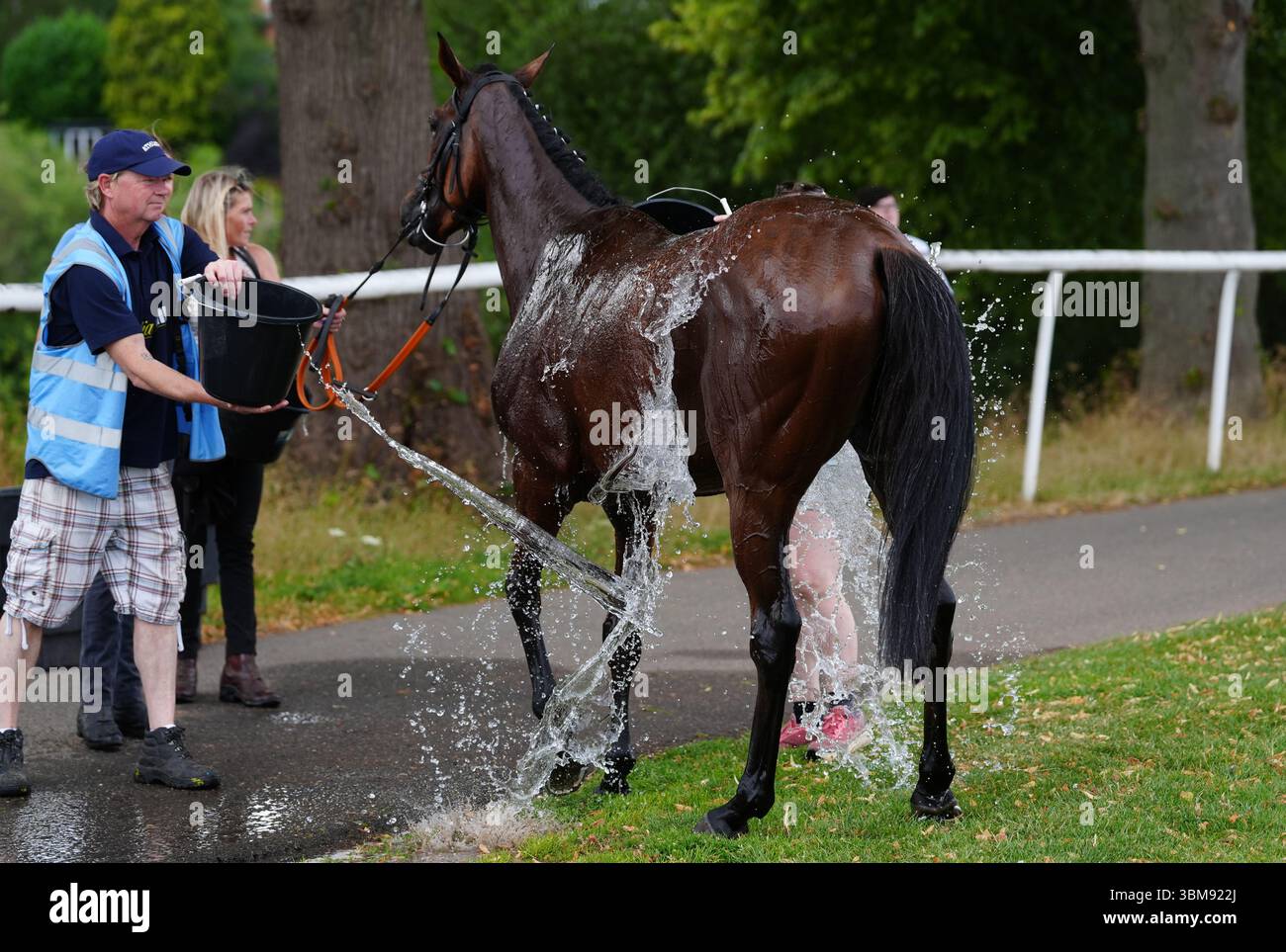 Horses get washed down following the UKO Serviced Offices Maiden Hurdle ...