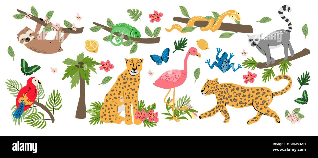 Colorful tropical animals illustration featuring cheetahs, lemurs, and ...
