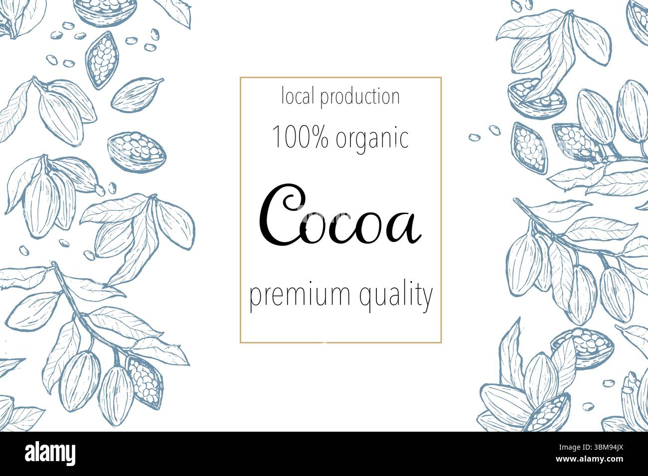 Cocoa beans sketch set featuring organic local production design for ...