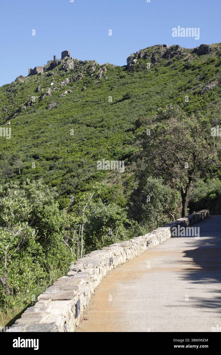 Road to the monastery Stock Photo - Alamy