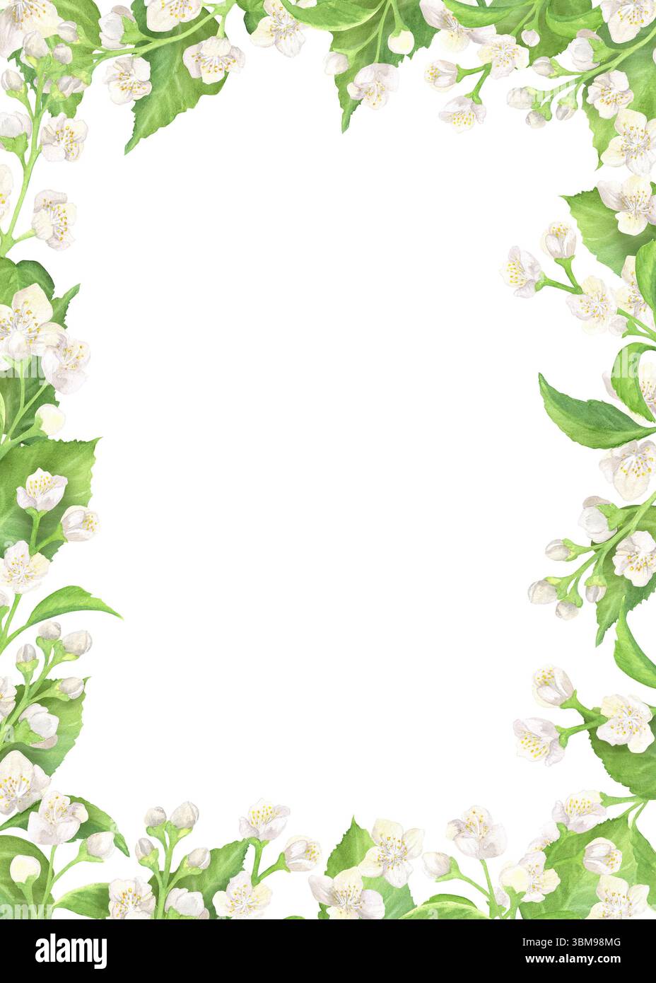 Floral border clipart hi-res stock photography and images - Alamy