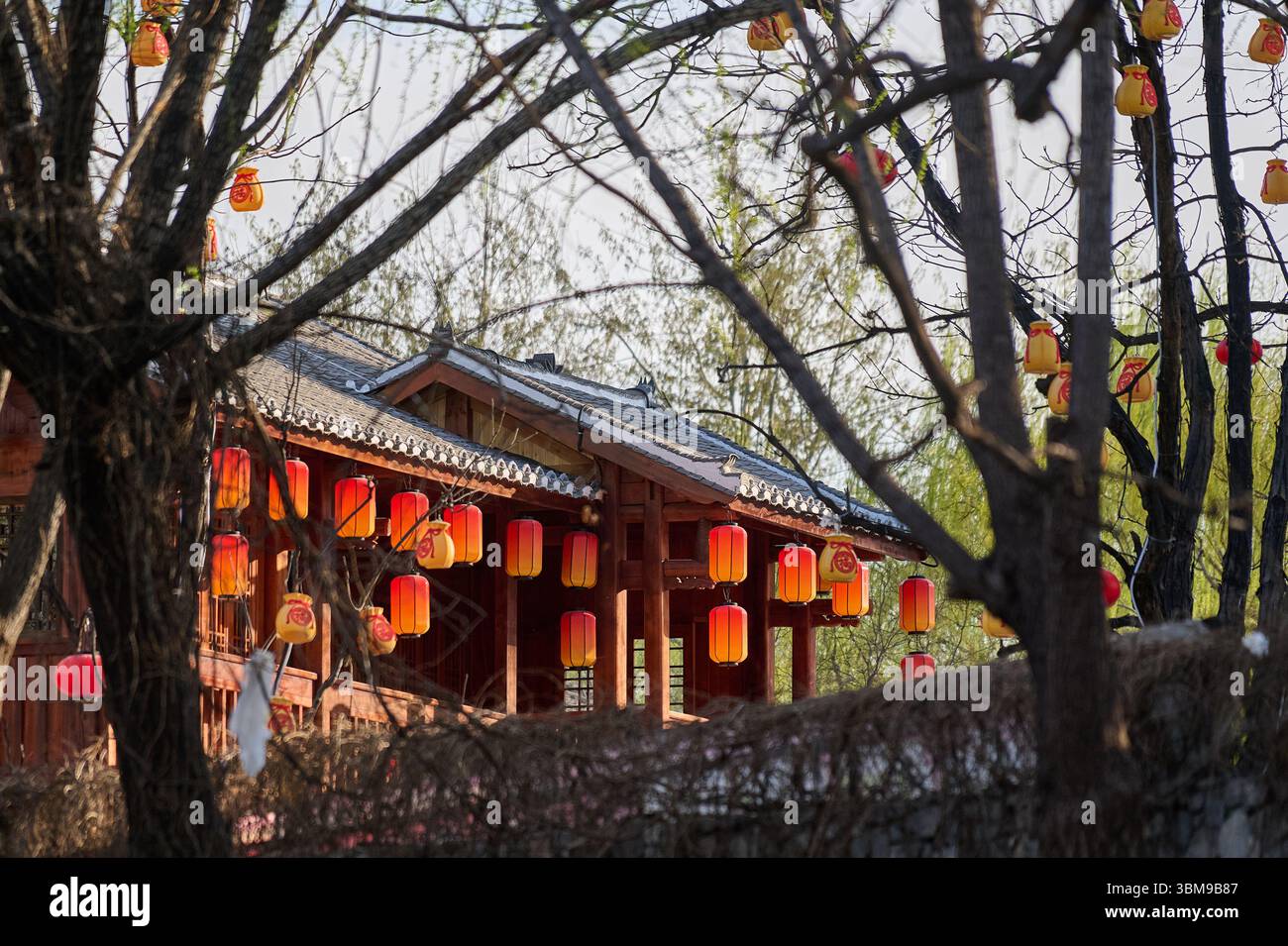 Traditional Chinese building with red lanterns in spring forest Stock ...