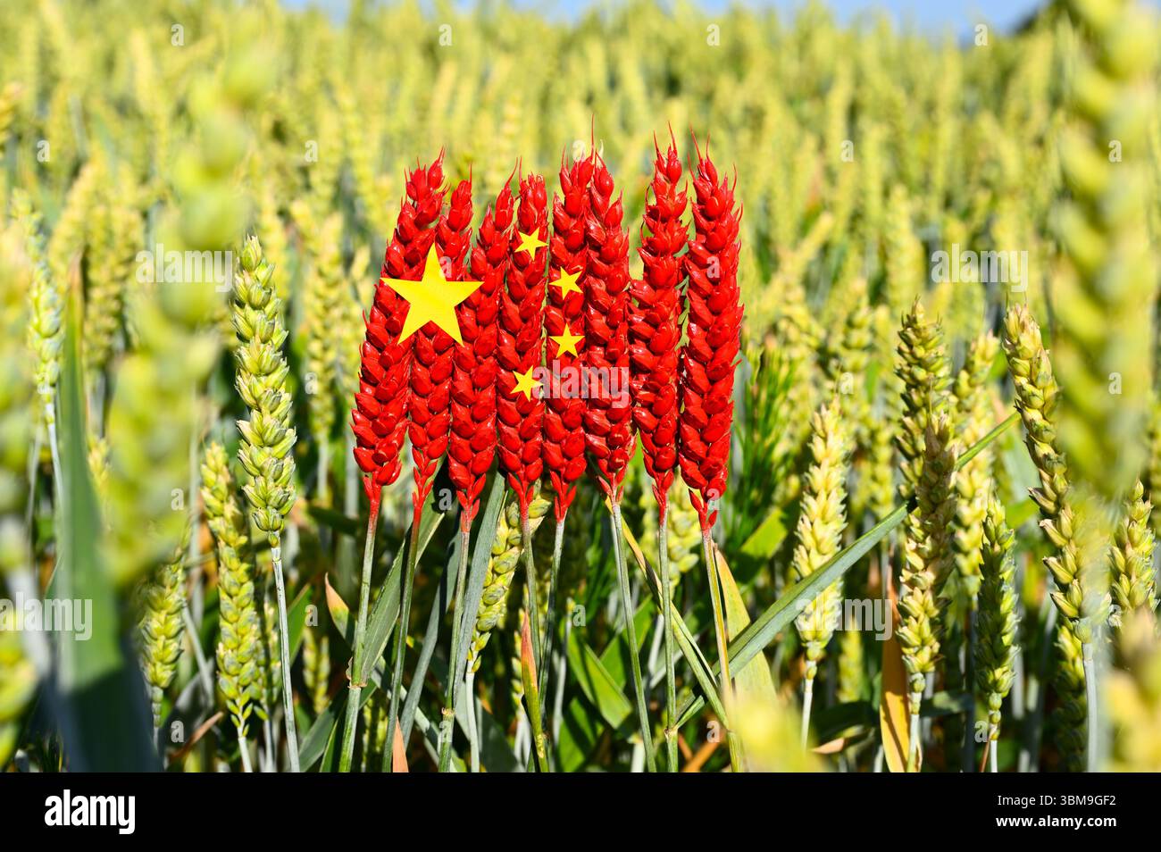 China agriculture chinese flag hi-res stock photography and images - Alamy
