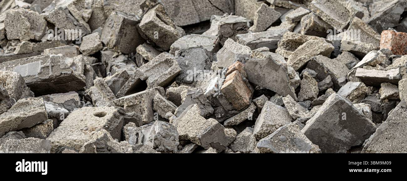Gray concrete and brick rubble forms a textured background, suggesting ...