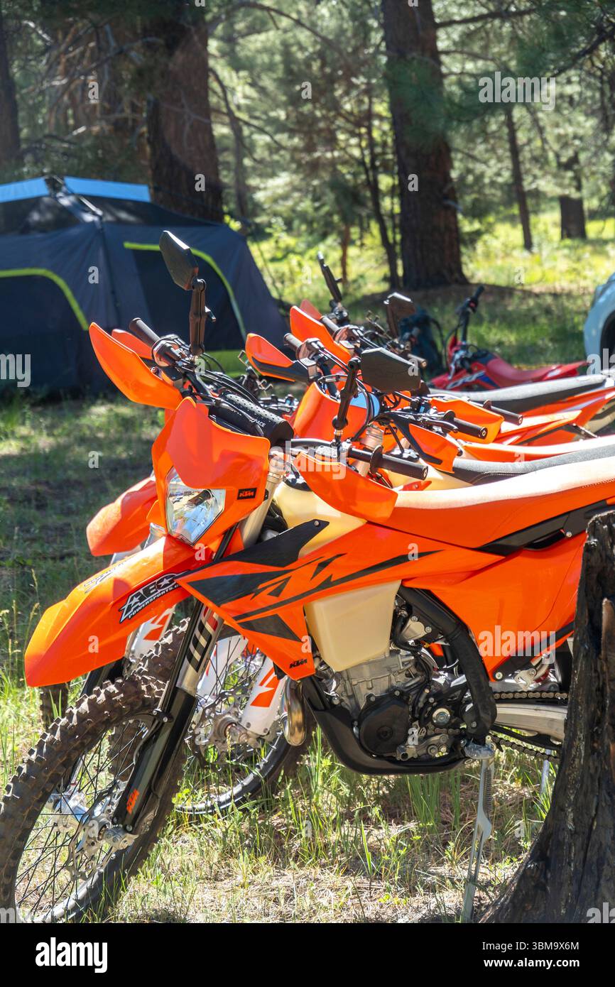 Row bikes parked next other hi-res stock photography and images - Alamy