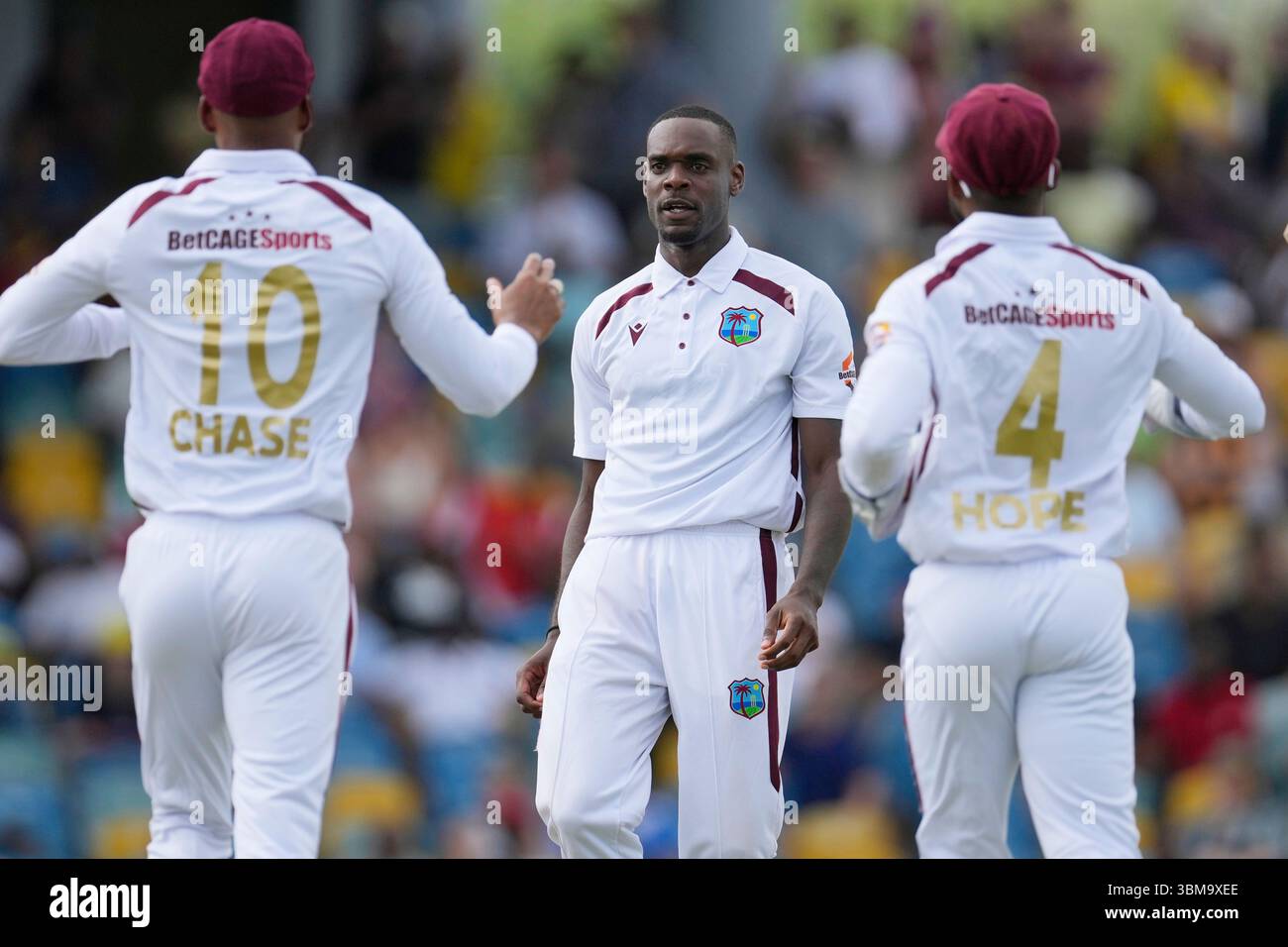 West Indies' Jayden Seales celebrates the dismissal of Australia's ...