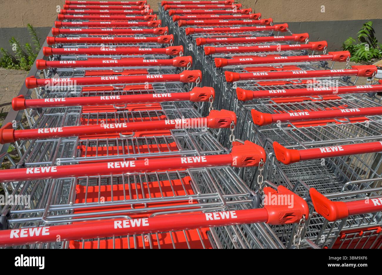 Einkaufswagen Rewe, Deutschland *** Shopping cart Rewe, Germany Stock ...