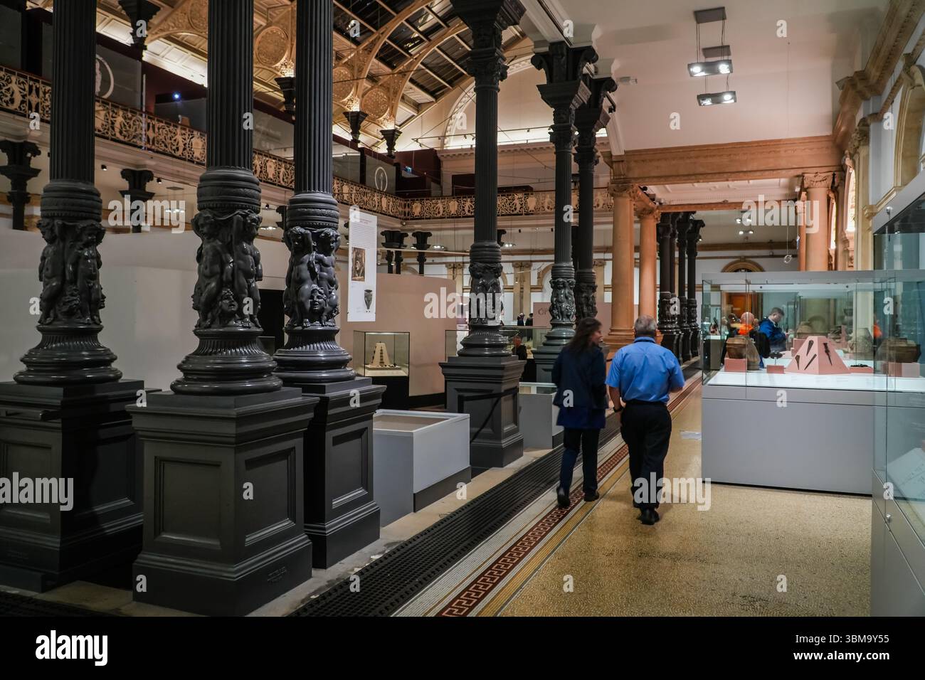 National Museum of Ireland. Interior view of the museum hall featuring ...