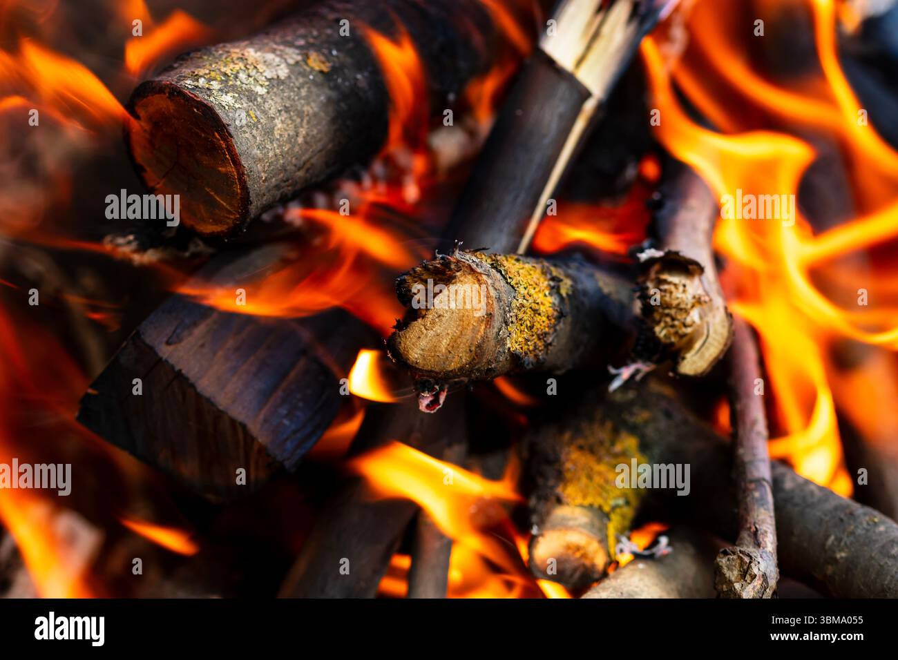BBQ grill with burning wood and fire flames. Empty hot charcoal ...