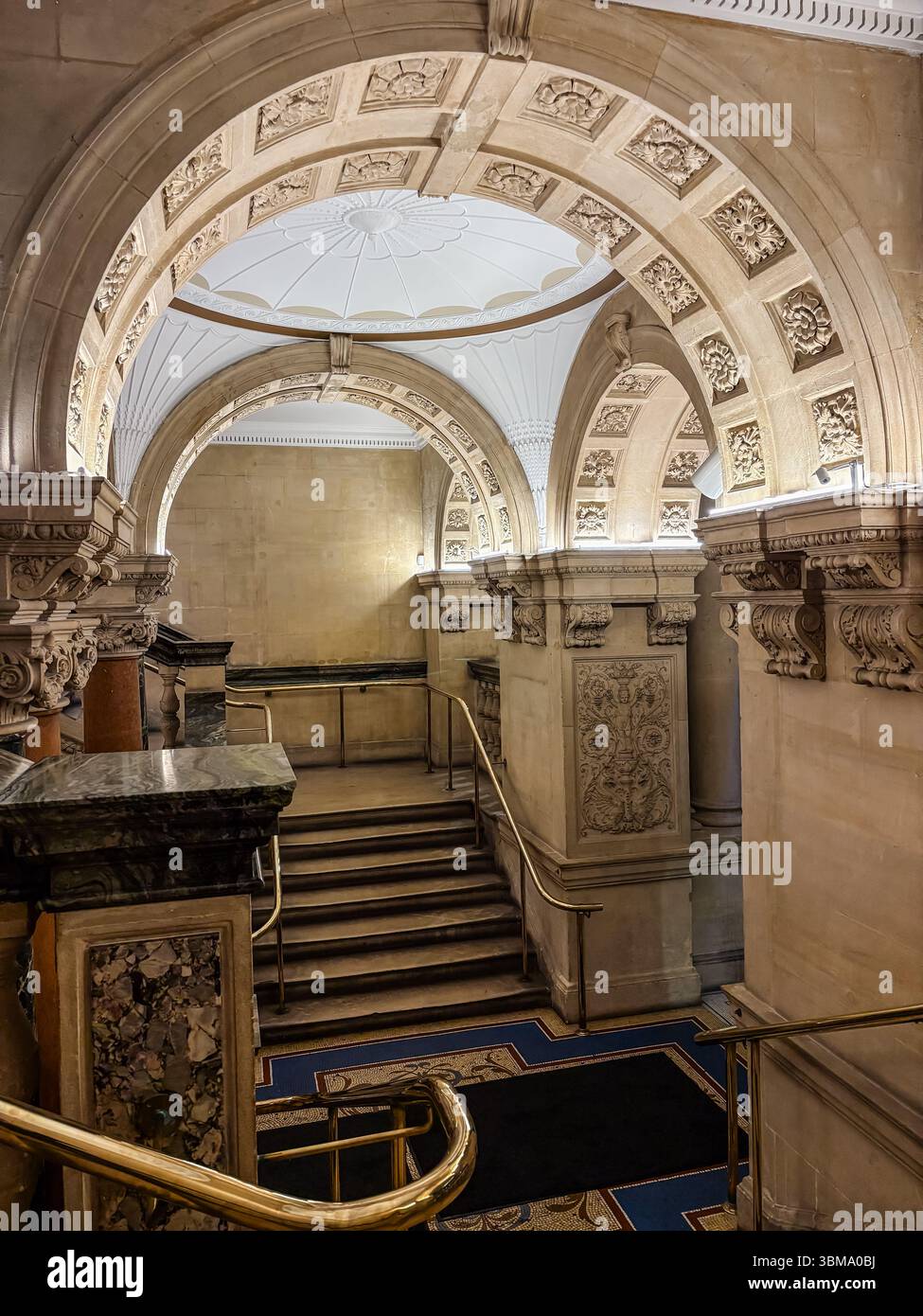 National Museum of Ireland, Kildare Street. View of the grand interior ...