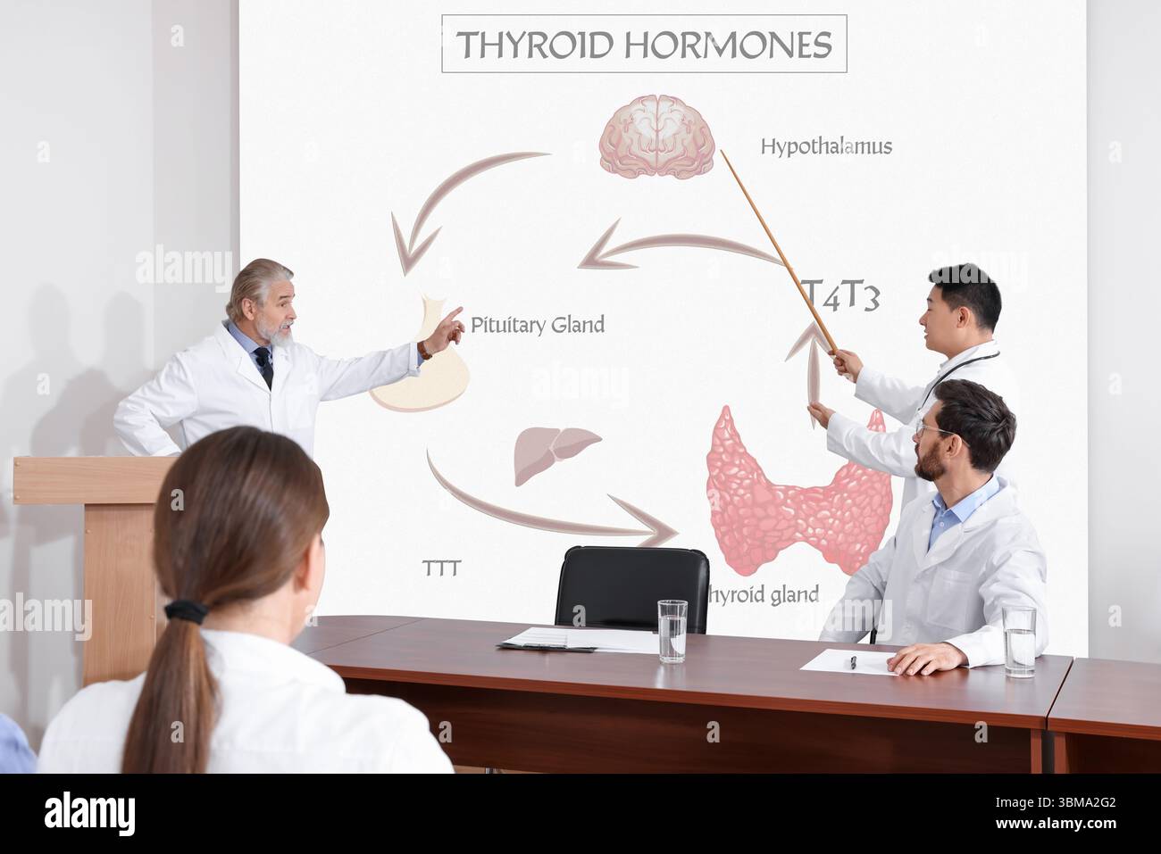Healthcare professionals giving lecture about thyroid hormones in ...