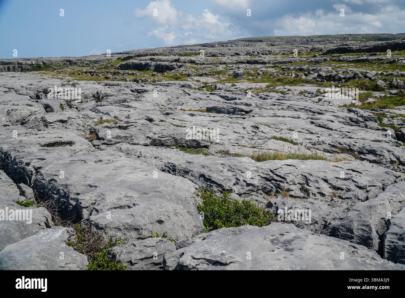 The Burren limestone pavement in western Ireland, marked by cracked ...