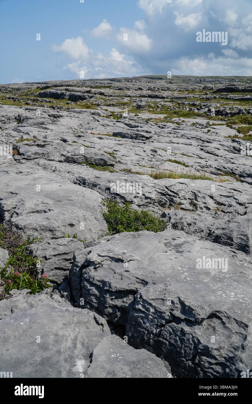 The Burren is a vast limestone pavement in western Ireland, marked by ...