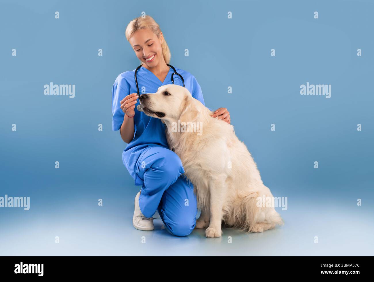 Nurse In Scrubs Uniform Posing With Dog Giving Food Stock Photo - Alamy