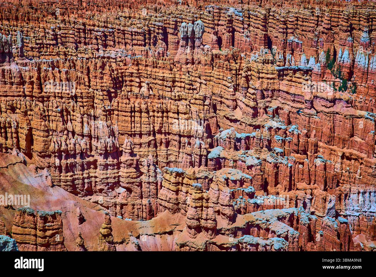 Bryce Canyon Hoodoo Formations Sunrise Point Utah Detailed Erosion ...
