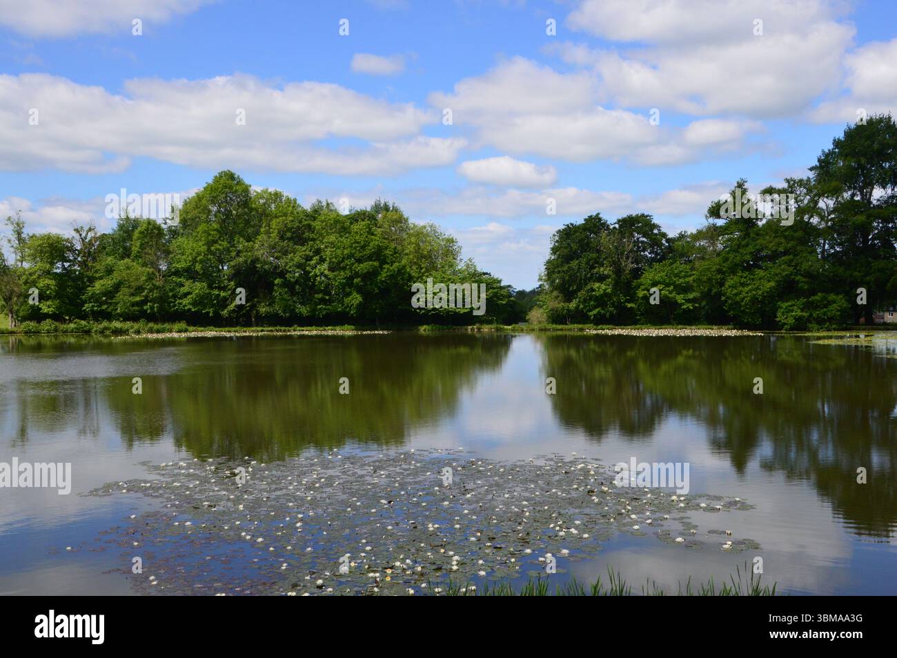 Pond by old wardour castle hi-res stock photography and images - Alamy