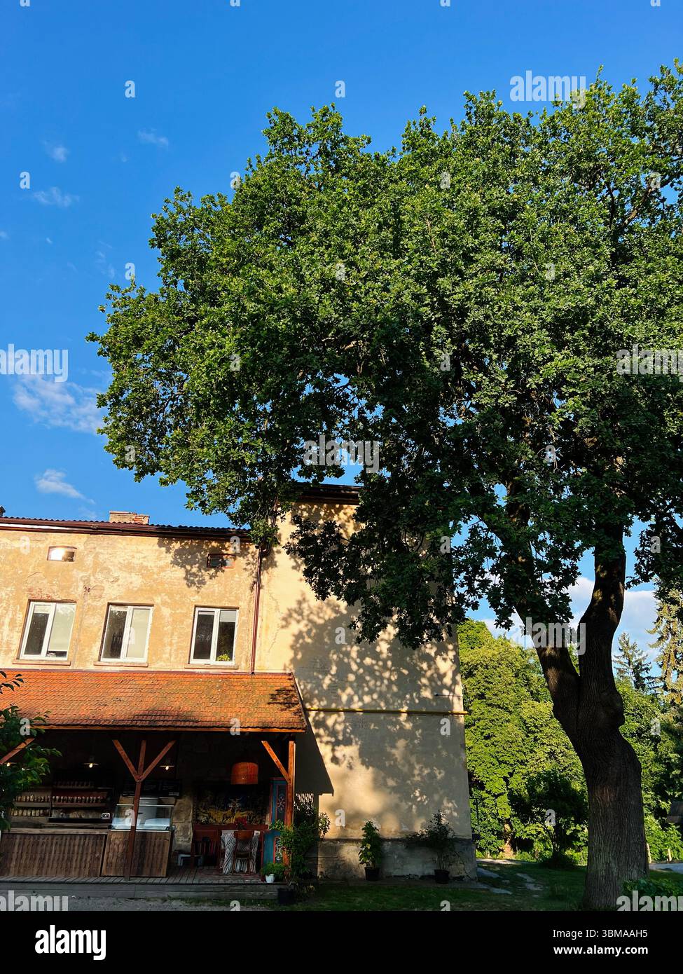 Lviv, Ukraine - June 24, 2025: A charming countryside house, shaded by ...