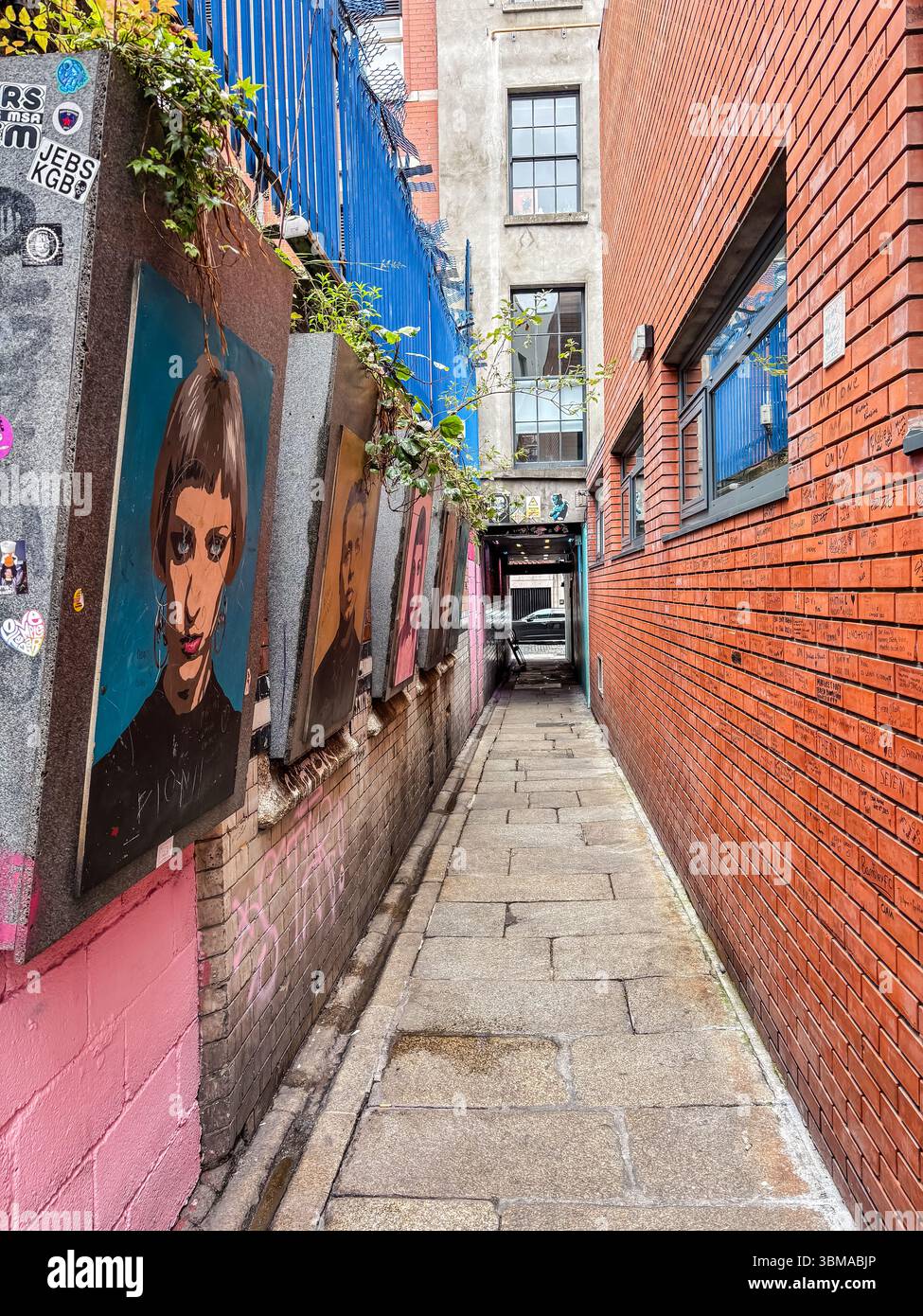 Love Lane. Famous narrow alleyway in Dublin, Ireland, known for its ...