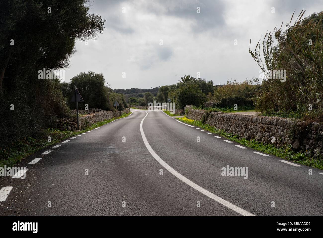 Path, Empty asphalt road among vegetation Stock Photo - Alamy