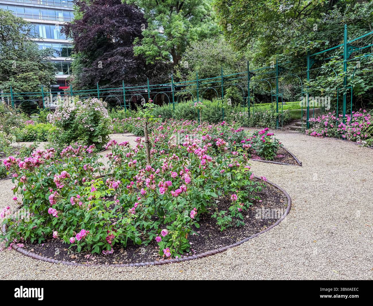 Iveagh Gardens is a beautifully landscaped Victorian garden in Dublin ...
