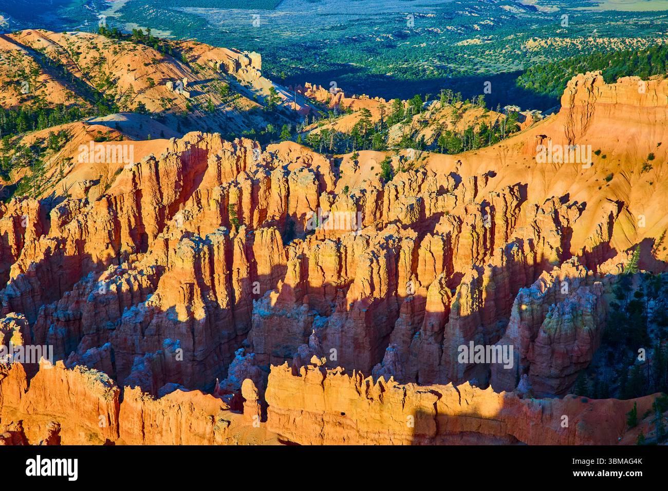 Bryce Canyon Hoodoos and Pine Trees at Sunrise from Bryce Point Utah ...