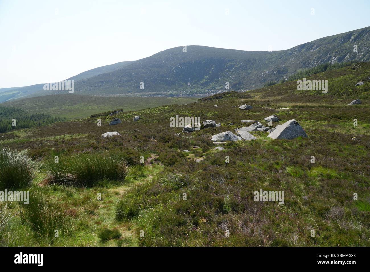 Turlough Hill, Ireland's only pumped-storage hydroelectric power ...