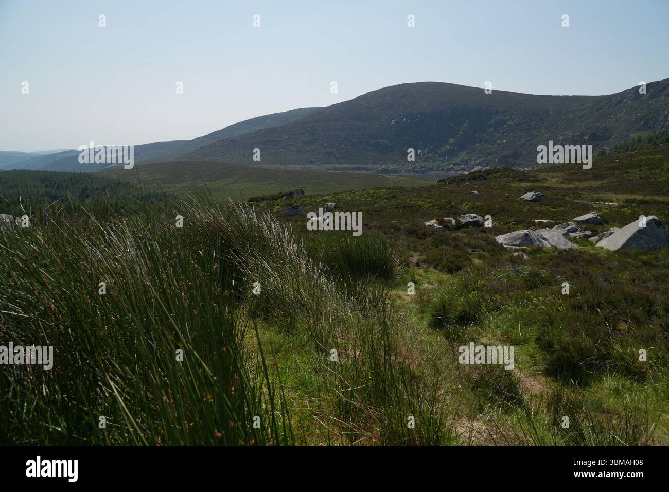 Turlough hill, landscape view in the Wicklow mountains, site of Ireland ...