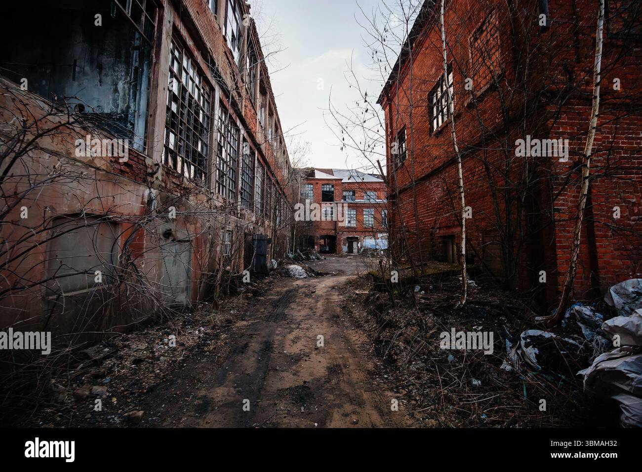 Territory of abandoned industrial area. Large old red brick industrial ...