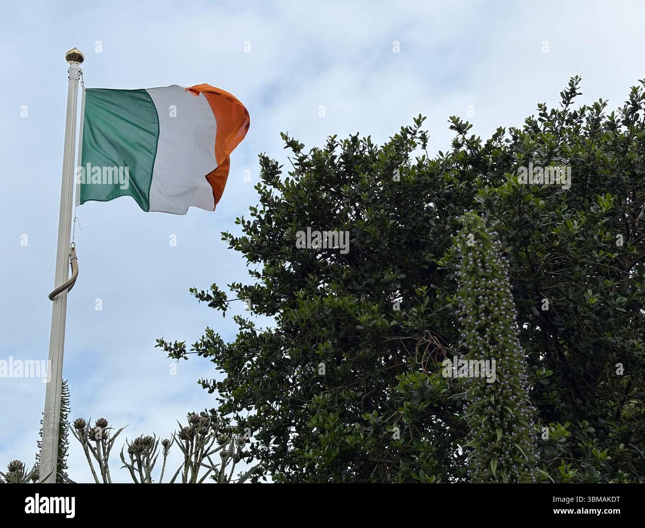 Flag of Ireland waving on a flagpole against a cloudy sky with trees ...