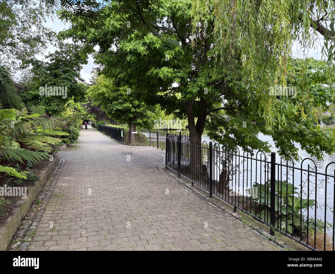 Blessington Street Basin. Historic 19th-century waterworks site turned ...