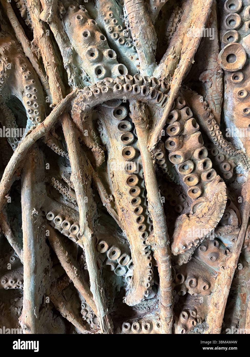 Intricate sculpture of tangled octopus or squid tentacles with suckers ...