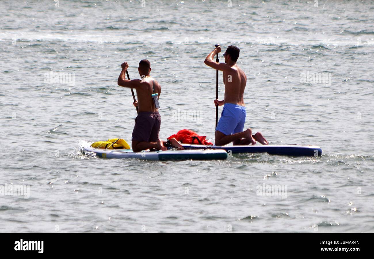Two young male paddle boarders on the Florida Intra-Coastal Waterway ...